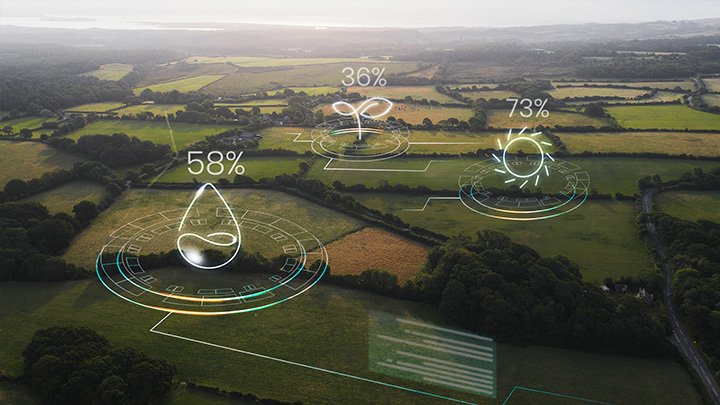 القناة الأولى - JRTV